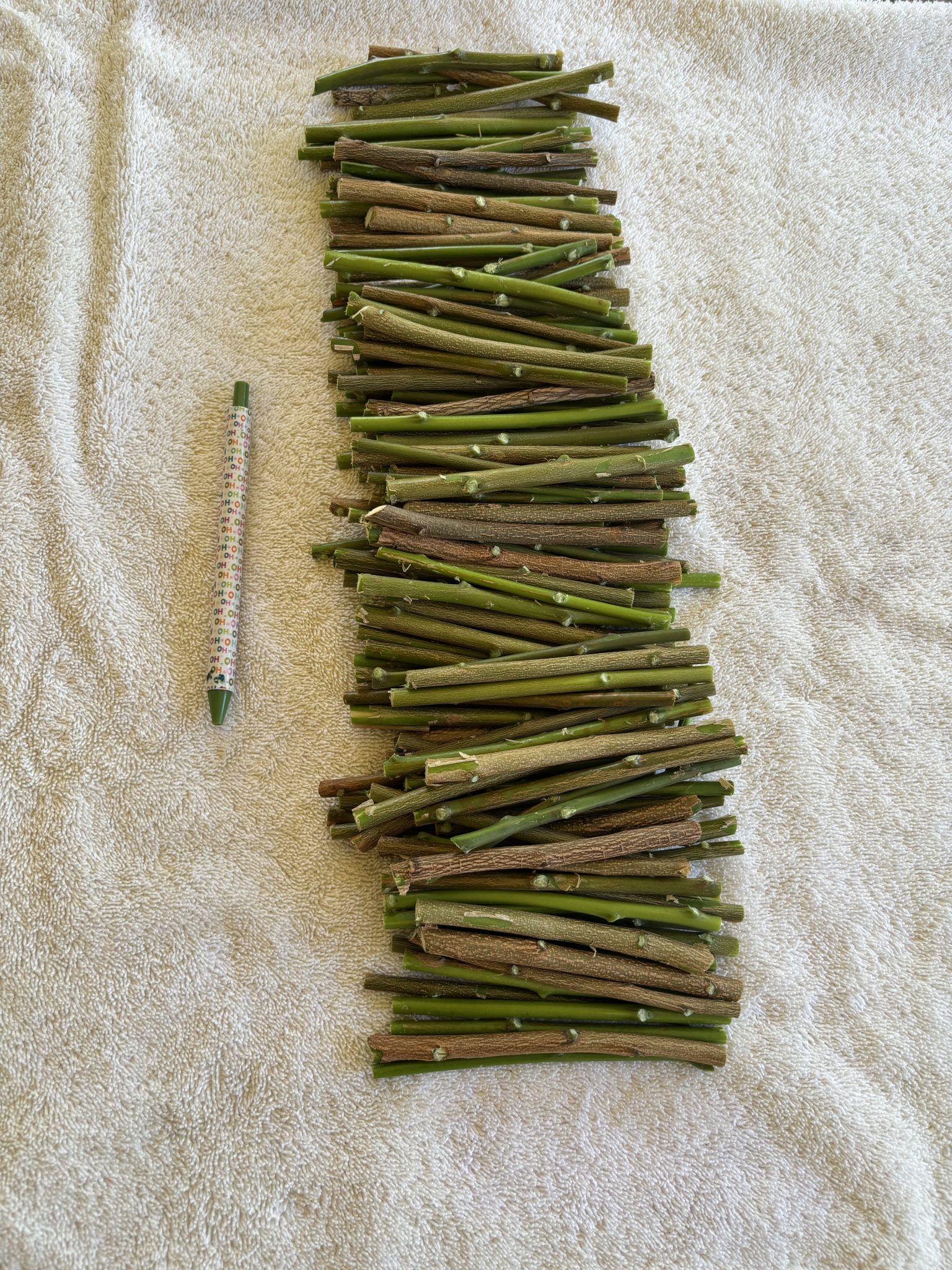 Neem Chew Sticks, Oral Care | Neem Tree Farms